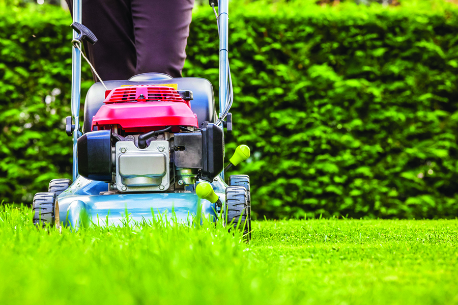 5 things to look for when selecting a lawn service | News and Press