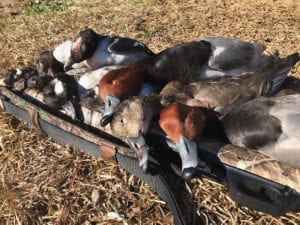 Hunting the Outer Banks | News and Press