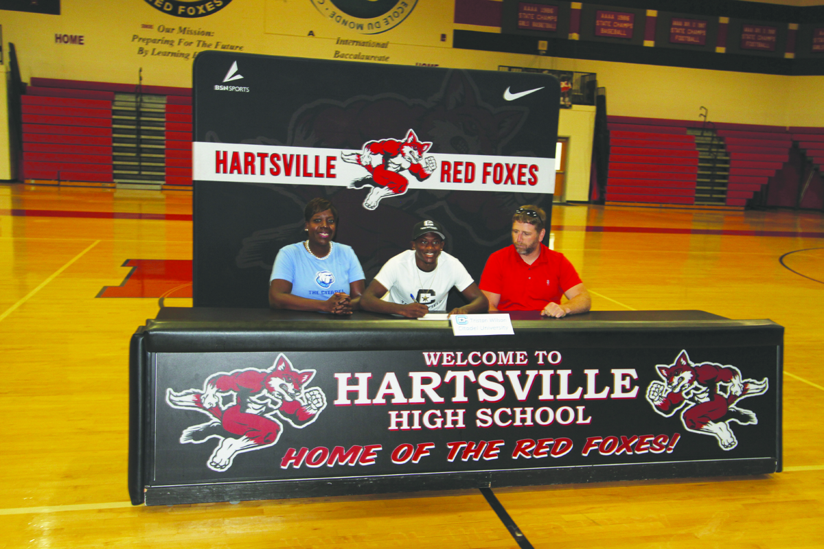 TRISTAN WILSON | News and Press