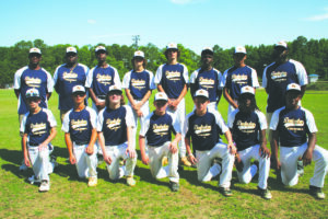 Darlington Little League teams compete in District 5 Tournament | News ...