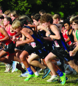 Trinity Collegiate School runners | News and Press
