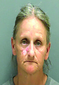 Darlington woman pleads guilty to Burglary, Grand Larceny, Meth charges ...